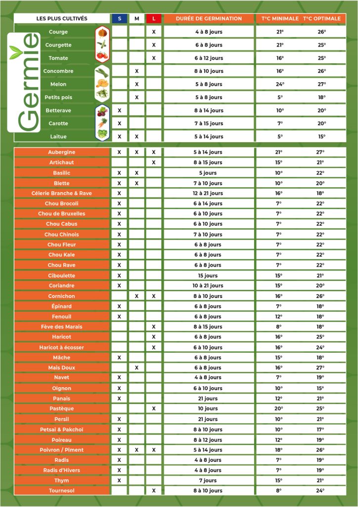 Jardin potager : Les conseils pour faire ses semis